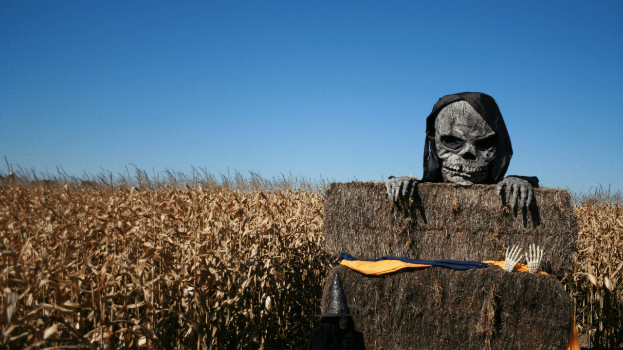 Sales Playbooks: Do You Really Need Them? - Neil J C Franklin